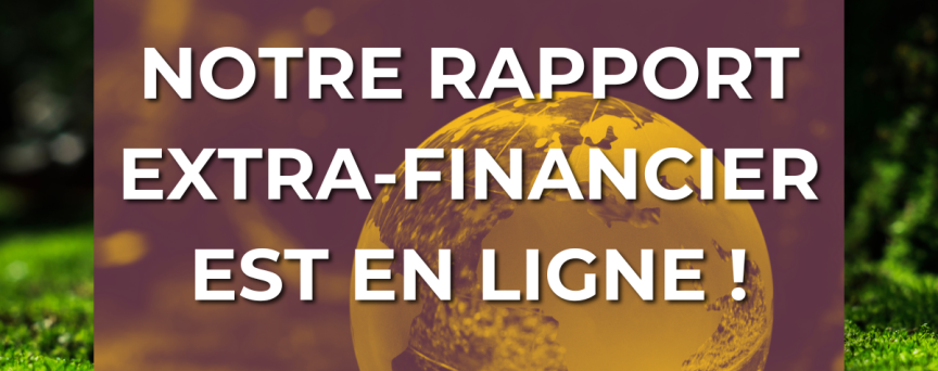 Delane SI : Conseil et Services Informatiques - secteurs Banque ...