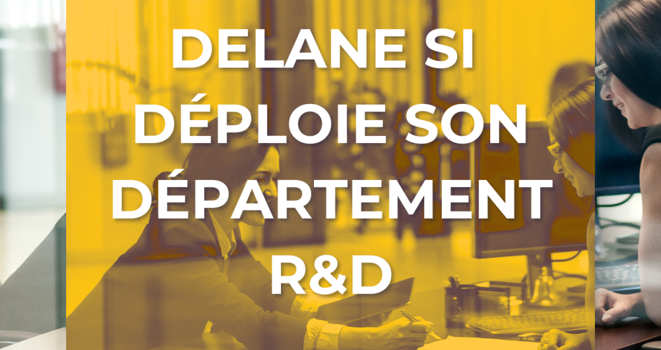 Delane SI : Conseil et Services Informatiques - secteurs Banque ...